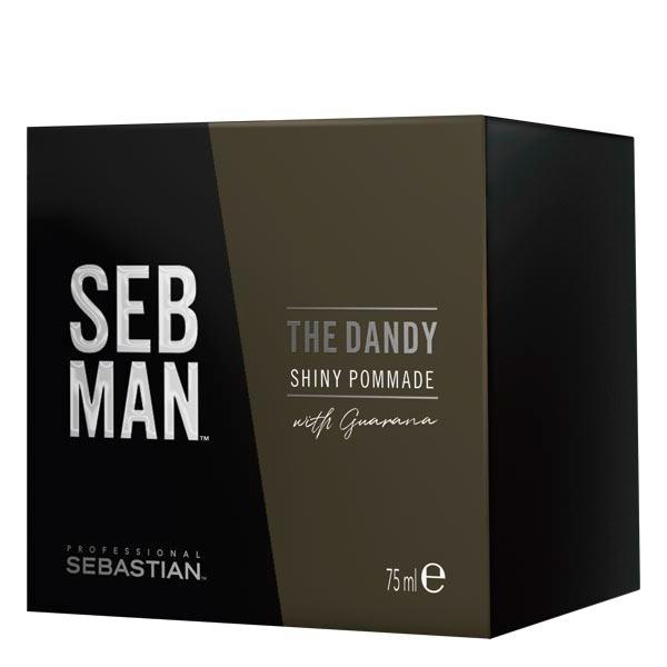 Sebastian SEB MAN The Dandy Shiny Pomad | baslerbeauty