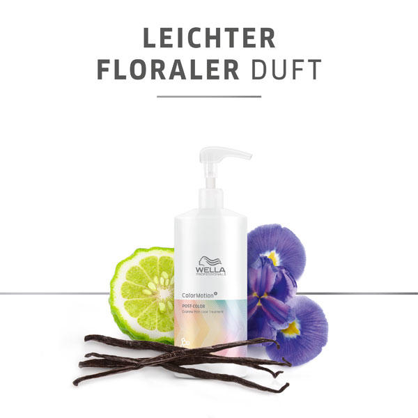 Wella ColorMotion+ Express Post Color T | baslerbeauty